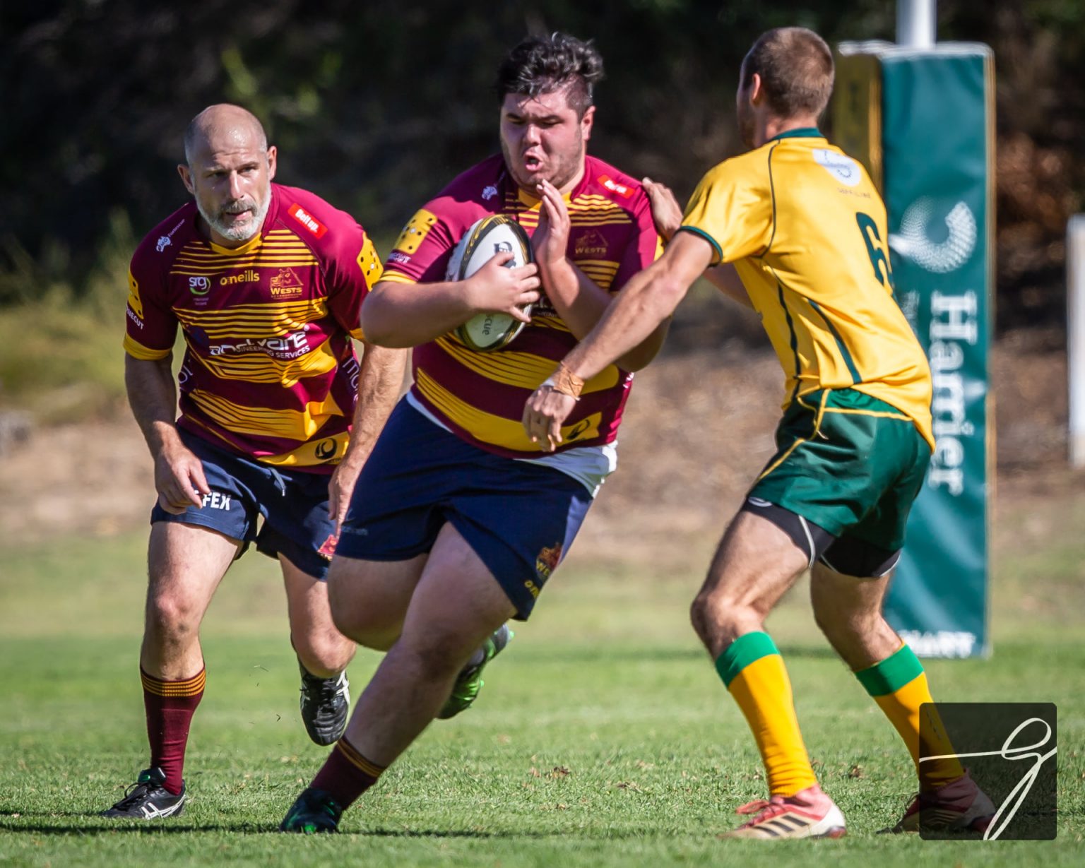 - Wests Scarborough Rugby